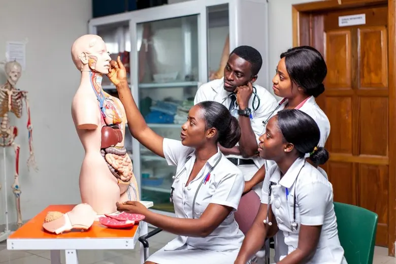 2026 Common Courses You’ll Take for Your RN Degree Programs | Research.com