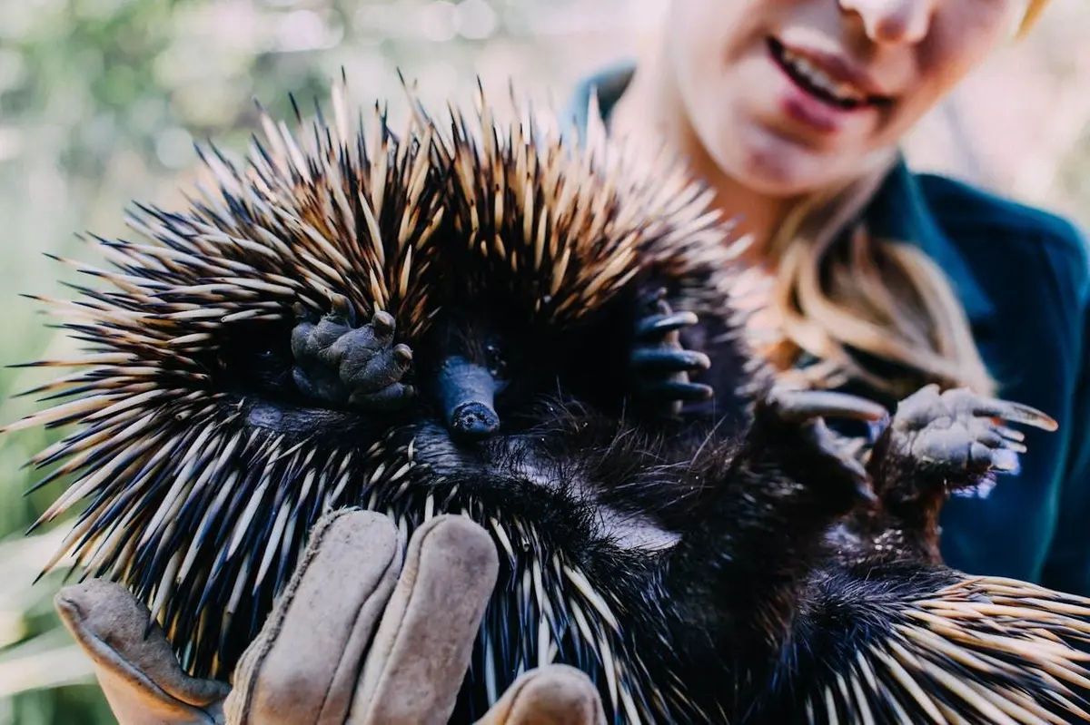 2026 How to Become a Wildlife Biologist? Salary & Career Paths ...