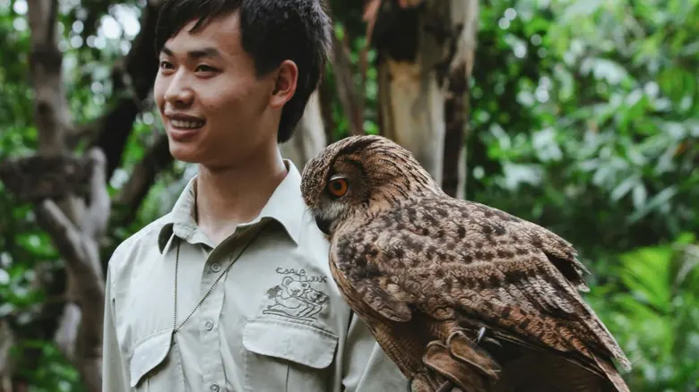 2026 How To Become a Herpetologist? Salary & Career Paths | Research.com