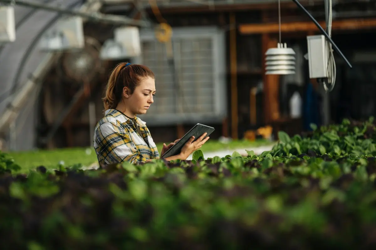 2026 Sustainability Careers: Guide to Career Paths, Options & Salary ...